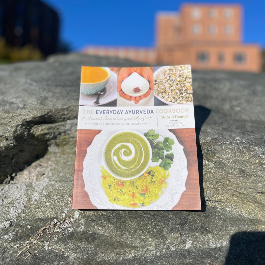 The Everyday Ayurveda Cookbook: A Seasonal Guide to Eating and Living ...